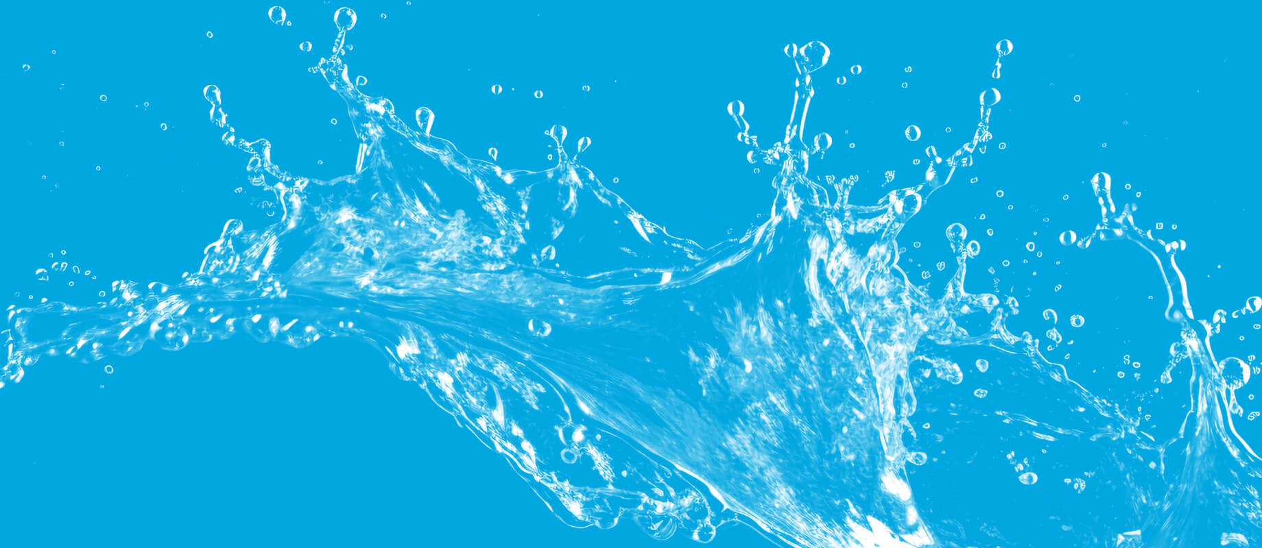 Cass 카스 공식 브랜드 웹사이트